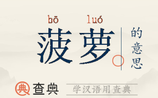 菠萝的拼音怎么读_菠萝拼音声调是几声