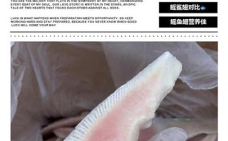 鳐鱼有毒吗_被鳐鱼刺伤怎么办