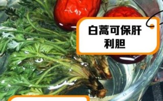 白蒿怎么吃_白蒿的吃法大全