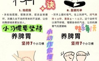 养脾胃最有效的方法_脾胃不好怎么调理