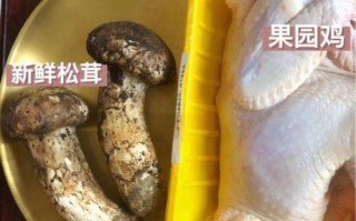 松茸炖鸡汤的做法_松茸鸡汤怎么炖好喝