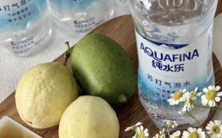 柠檬气泡水怎么做_柠檬气泡水热量高吗