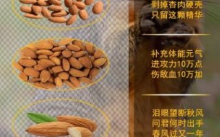 杏仁视频怎么下载_杏仁视频会员多少钱