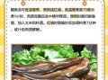 血鳝鱼怎么做好吃_血鳝鱼营养价值有哪些