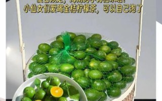 金桔柠檬水怎么做_金桔柠檬水做法窍门