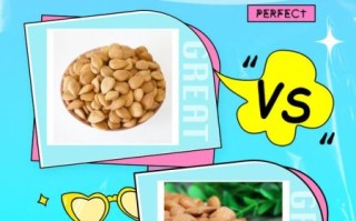 杏仁的正确吃法大全_生吃还是熟吃更好