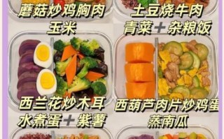 简单便当菜谱怎么做_家常便当带什么菜