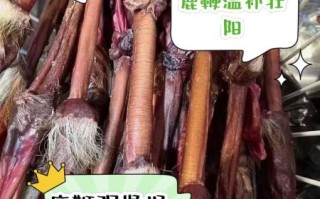 鹿鞭的功效与作用_鹿鞭怎么吃效果最好