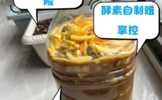 吃了半年酵素致癌是真的吗_酵素副作用有哪些