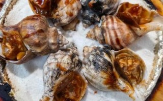 香螺怎么吃图解_香螺怎么清洗图解