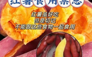吃完红薯千万别碰5种食物_会中毒吗