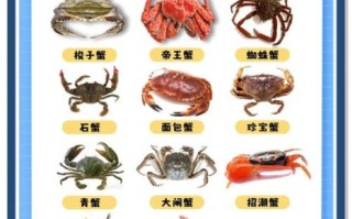 蟹的种类与图片大全_如何分辨常见蟹类