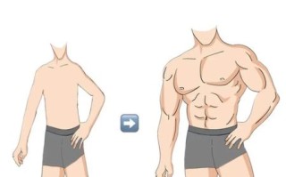 男人太瘦了怎么增肥_增重饮食计划