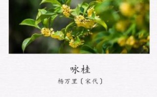 桂花诗句有哪些_古人如何咏桂