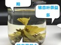 银杏叶泡水喝的功效与禁忌_银杏叶茶怎么泡才正确