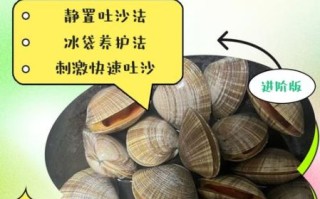 花蛤怎么吐沙干净_花蛤的家常做法步骤
