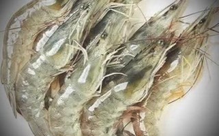 白袍虾仁的由来_白袍虾仁典故背后的文化