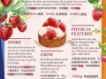 strawberry怎么读_草莓英文发音技巧