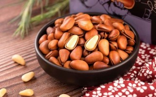 松子死前握着什么_松子最后握的东西象征什么