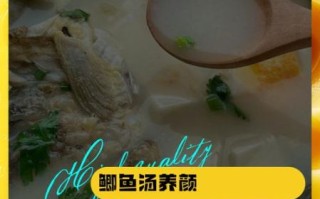 鲫鱼汤不能和什么一起吃_鲫鱼汤禁忌有哪些