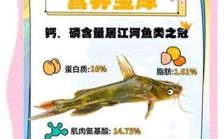 黄颡鱼吃什么_黄颡鱼最爱吃的饵料