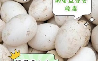 鹅蛋的禁忌人群有哪些_鹅蛋吃多了有什么副作用