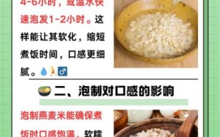 燕麦米怎么煮粥_燕麦米煮粥需要提前泡吗