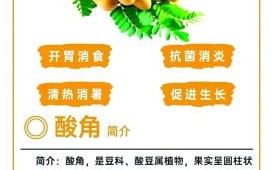 酸角的功效与作用禁忌_孕妇能吃吗