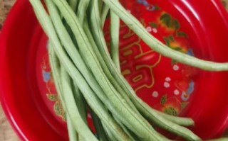 素炒豆角怎么做_家常素炒豆角要不要焯水