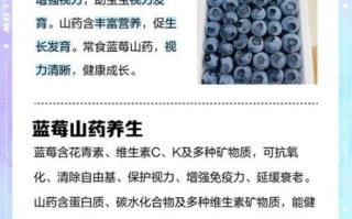 蓝莓山药的功效与作用_蓝莓山药的禁忌有哪些