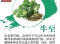 抗癌中药第一名_十大抗癌排名真的可信吗