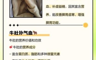 牛肚汤的营养价值_牛肚汤的功效与作用