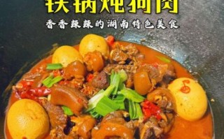 狗肉怎么炖好吃_家常狗肉做法大全
