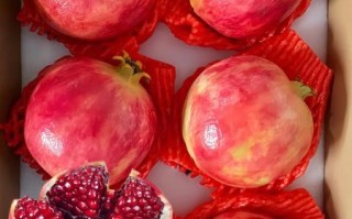 软籽石榴的功效与作用_软籽石榴营养价值高吗