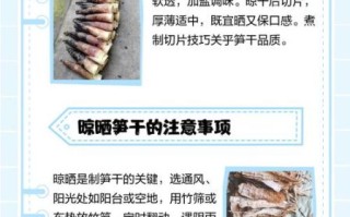 竹笋干怎么制作_竹笋干晒制技巧