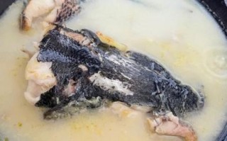 乌鱼汤对伤口愈合好吗_术后喝乌鱼汤多久见效