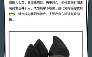 襄阳大头菜多少钱一斤_襄阳大头菜价格行情