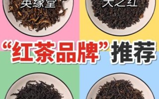 常见的红茶有哪几种_哪种红茶最适合新手入门