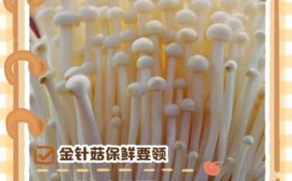 金针菇怎么保存_金针菇图片大图高清细节