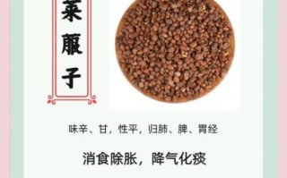 莱菔子怎么吃_莱菔子功效与禁忌