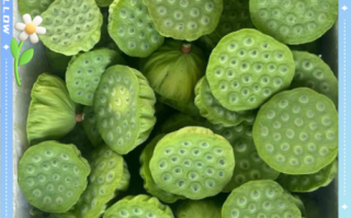 莲蓬怎么吃_莲蓬的功效与作用