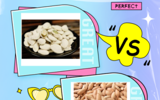 白瓜子与南瓜子的区别_哪个营养价值更高