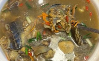 甲鱼炖什么最滋补_甲鱼炖汤放什么药材好