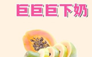 产妇牛奶木瓜汤的做法_下奶木瓜汤怎么做