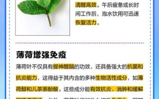 薄荷茶能天天喝吗_长期饮用副作用