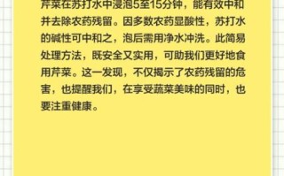 芹菜焯水几分钟最好_焯水后怎么保持翠绿
