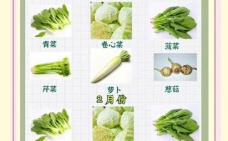 春季时令蔬菜有哪些_如何挑选最新鲜