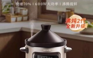 什么牌子电炖锅好用_电炖锅哪个品牌质量好