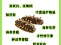 海参和什么搭配最有营养_海参最佳营养搭配指南
