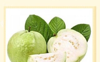 石榴怎么吃图解法_石榴剥开技巧